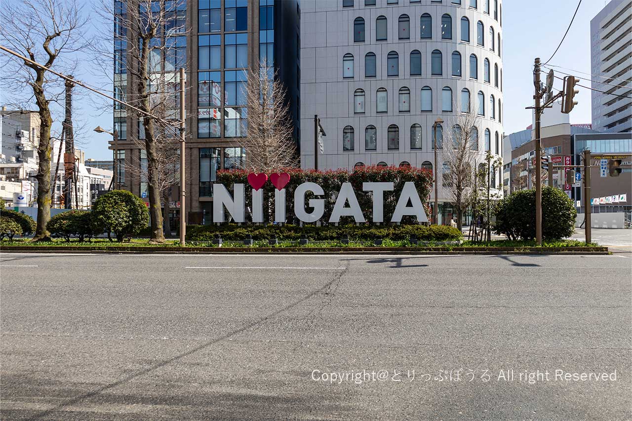 ライトアップされる道路の真ん中に設置されたNIIGATAロゴオブジェ